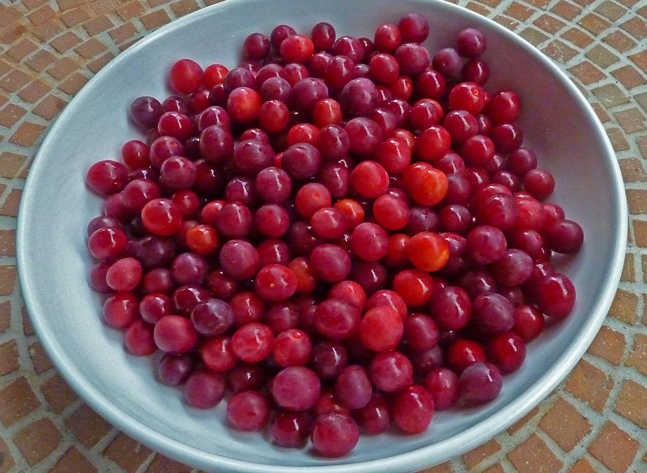 Living the life in Saint-Aignan: Petites prunes rouges