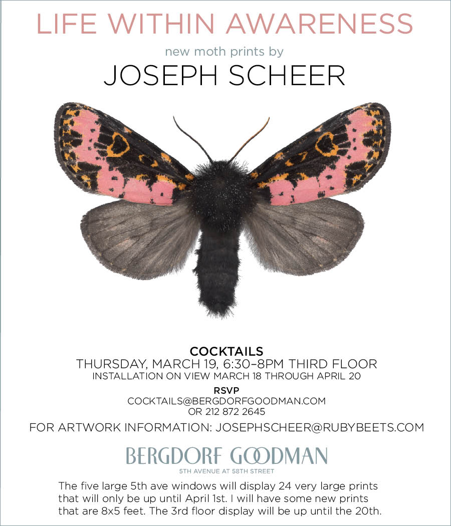 Joseph Scheer: Exhibitions
