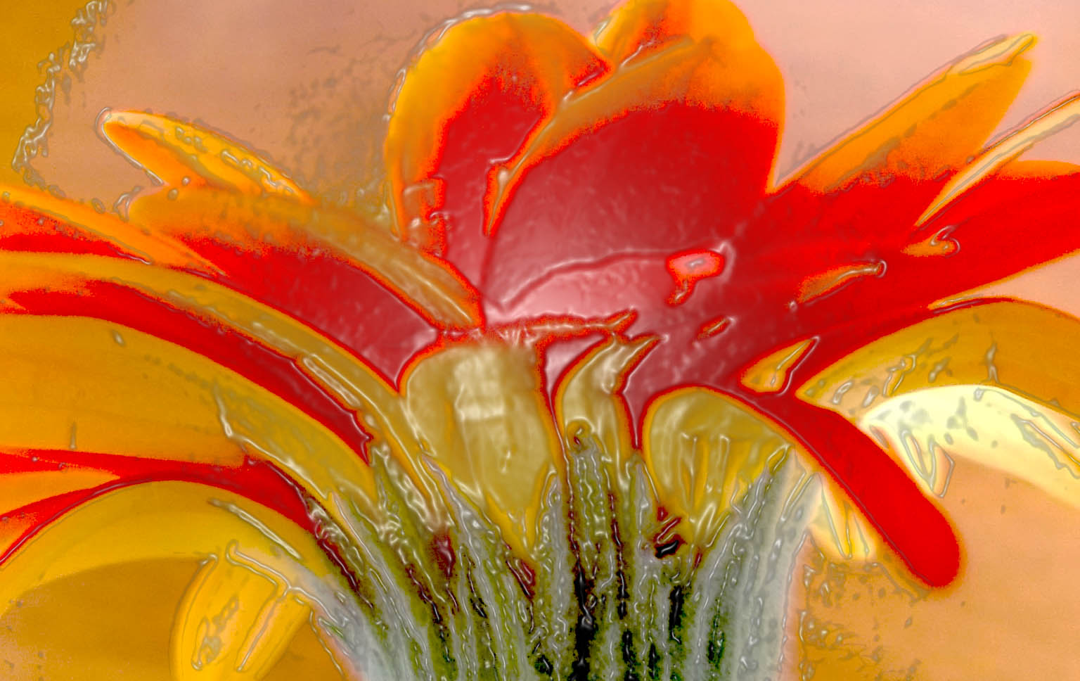 LORRAINE RIMMER: PHOTOGRAPHS