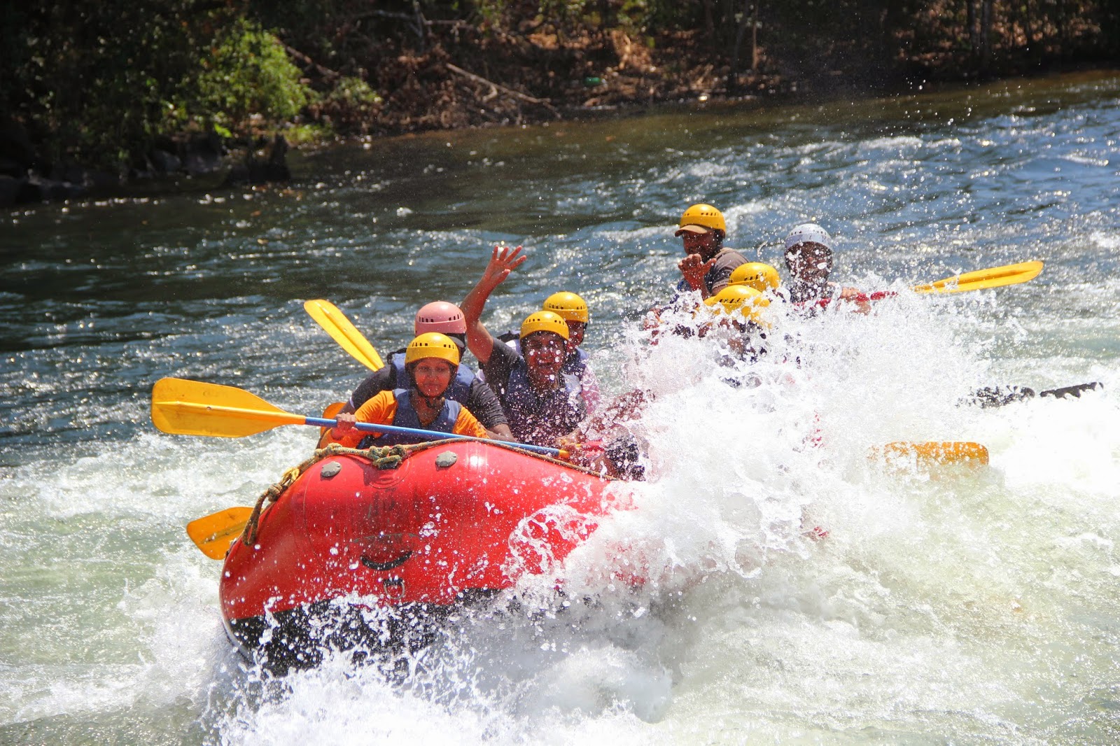 The wilderness of Dandeli and white water rafing - Bangalore Trekking Club®