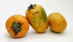 FRUTA LA COCONA: DEFINICION