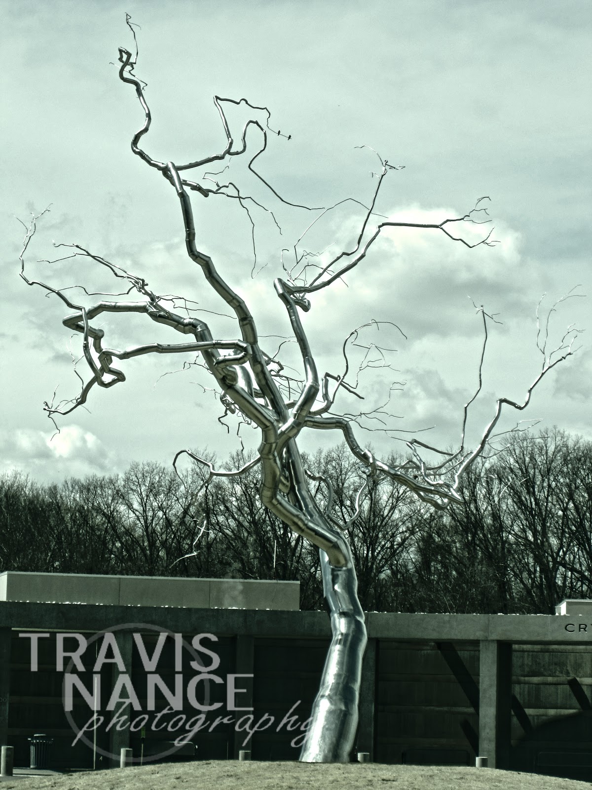 Travis Nance Photography: First trip to Crystal Bridges