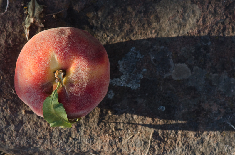 make happy: 200/366 the still life of a peach