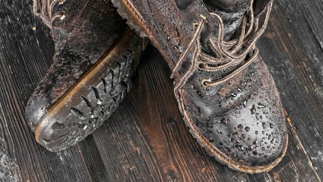 The unexplained Case of the Severed Feet in British Columbia - WORLDeTALK