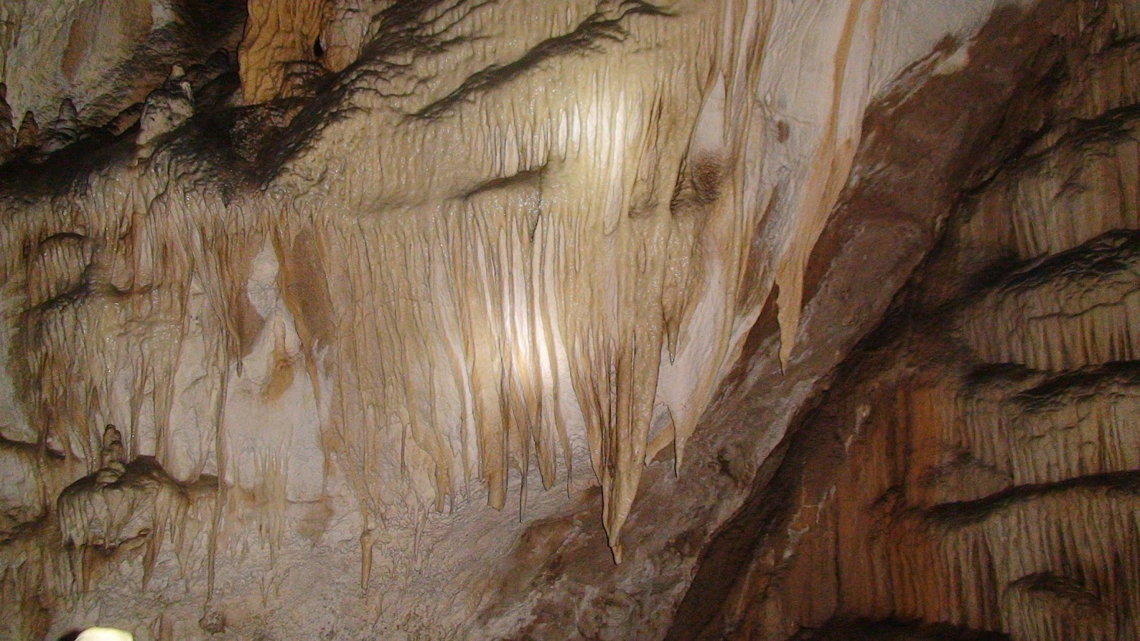 TUDOR PHOTO BLOG: Pestera Ghetarul de la Vartop - Muntii Apuseni ...