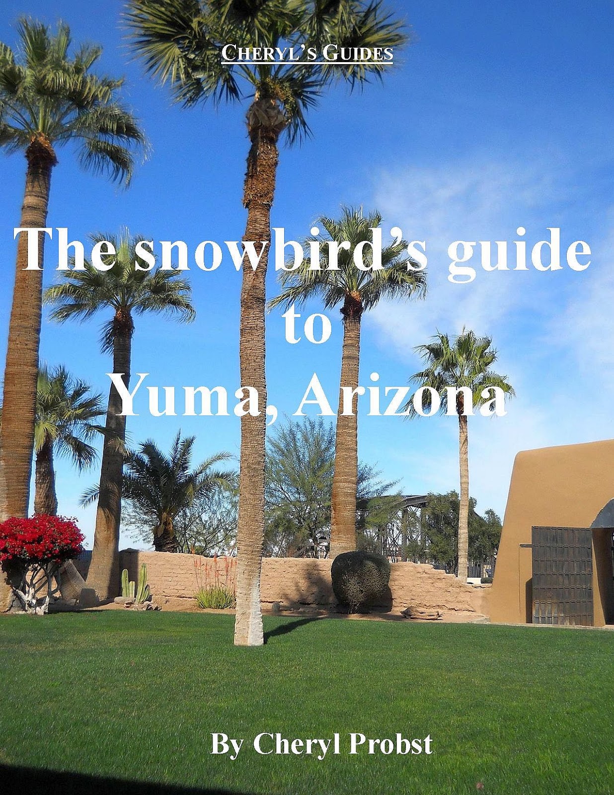 Jon and Cheryl's excellent adventure!: The snowbird's guide to Yuma, Arizona