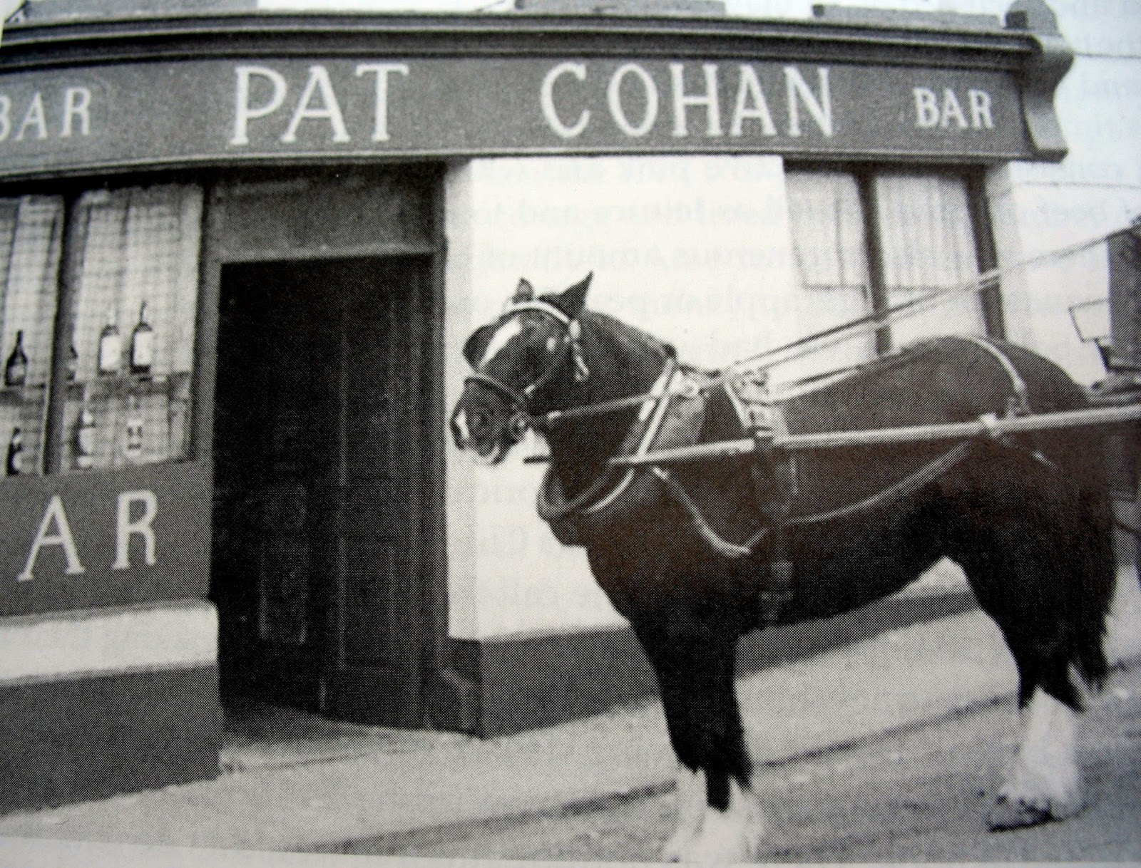 El profesor Bigotini: DE CÓMO SEAN THORNTON SE DIO A LA BEBIDA ...