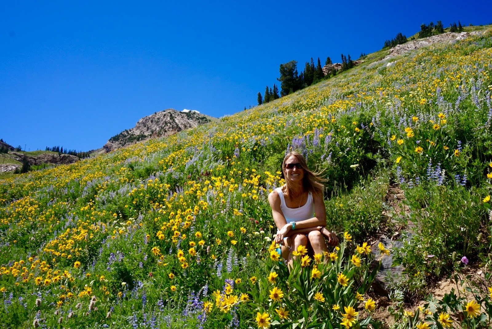 wasatch and beyond: July 2016