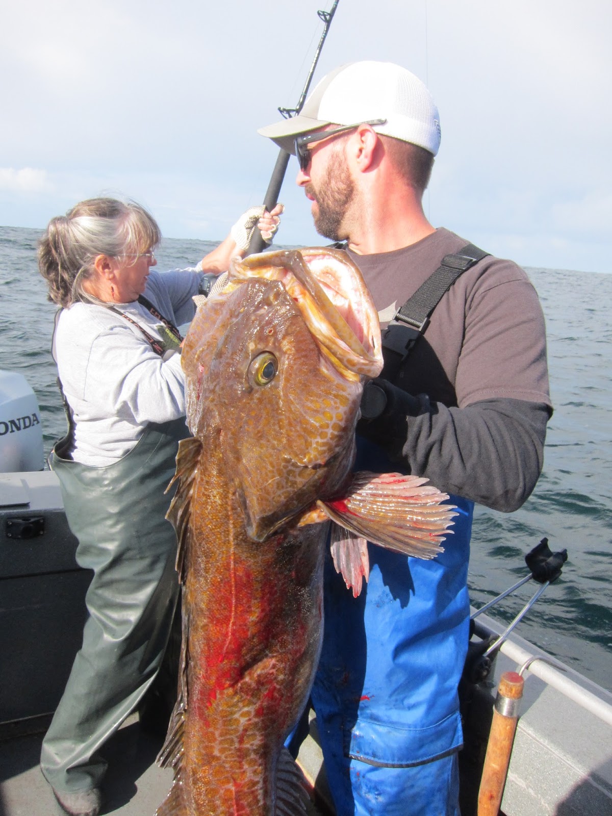Todds Extreme Fishing: Monster lingcod, giant sable fish, and big bass!