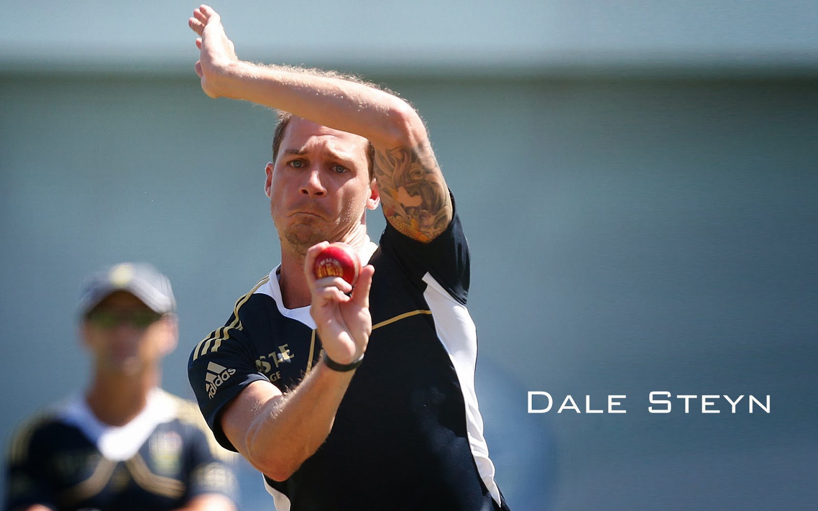 Words Celebrities Wallpapers: 2014 HD Wallpapers Series For Dale Steyn