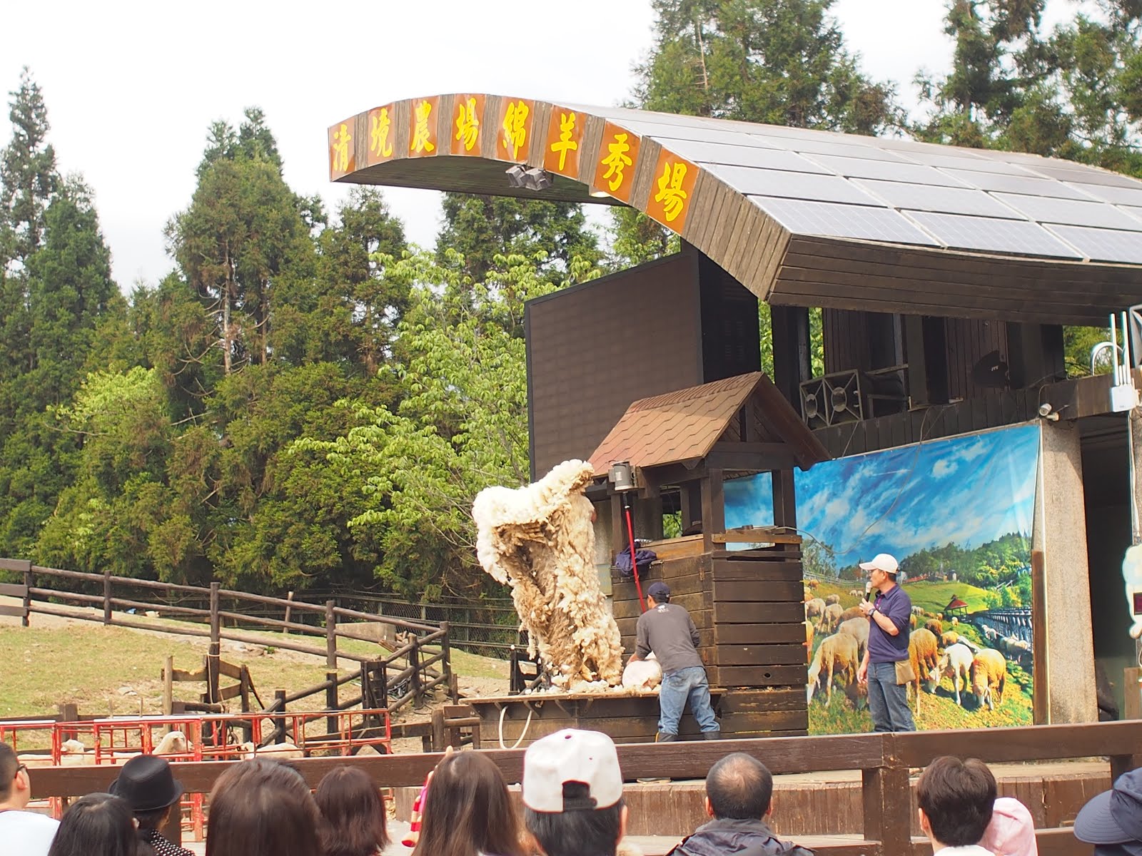 4 Ways To Spend 2D1N Around Cingjing Farm, Nantou, Taiwan - Jiahui Muses