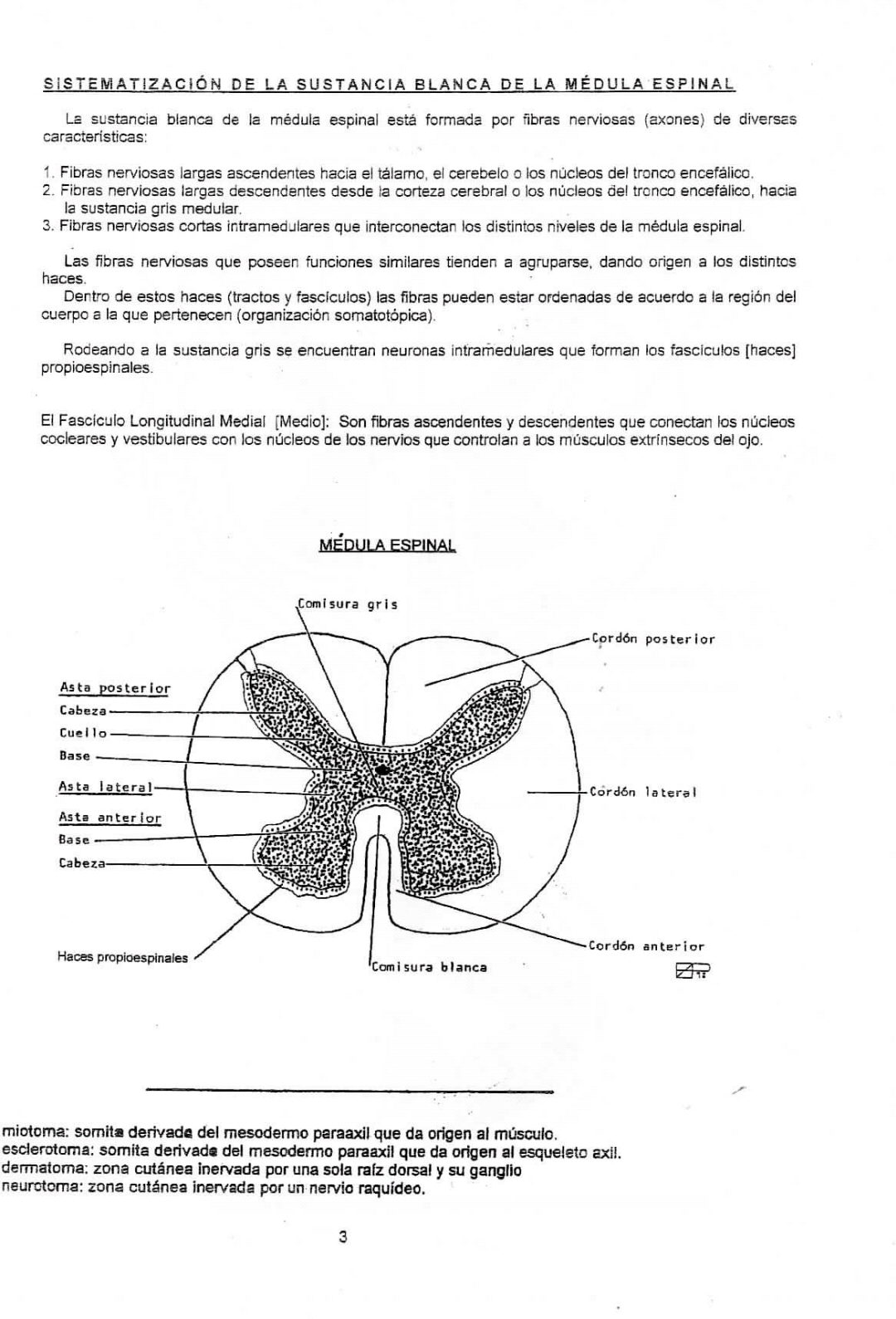 Estudiante de medicina : Apunte de neuroanatomia de Forlizzi Pro