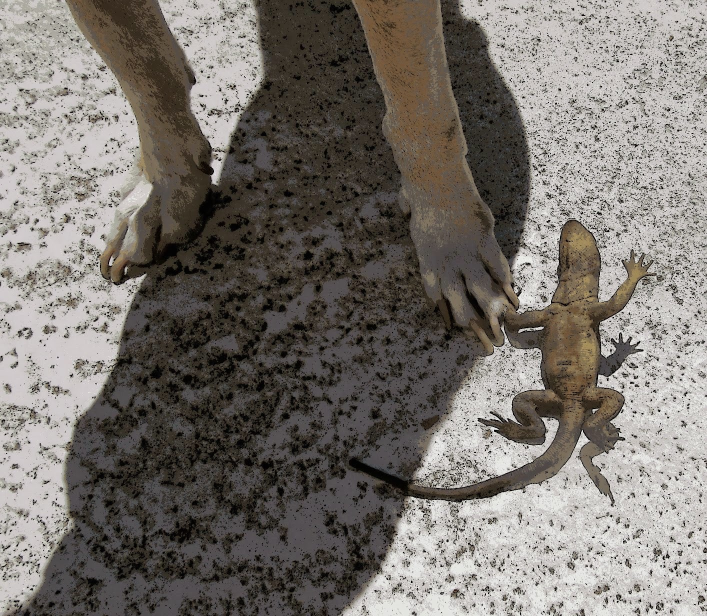 MadSnapper: There's A Lizard on My Leg...