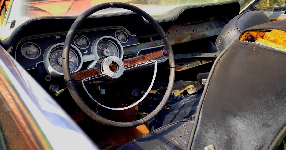 Hope Cunningham's Art & Photography