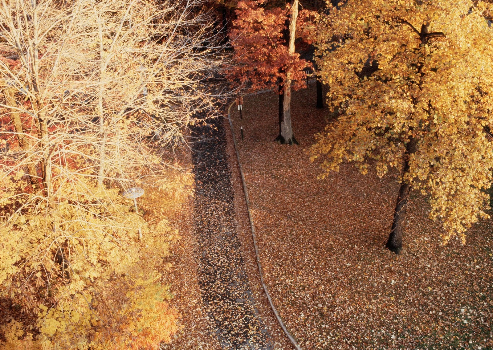 Our Beautiful World: Four season landscape
