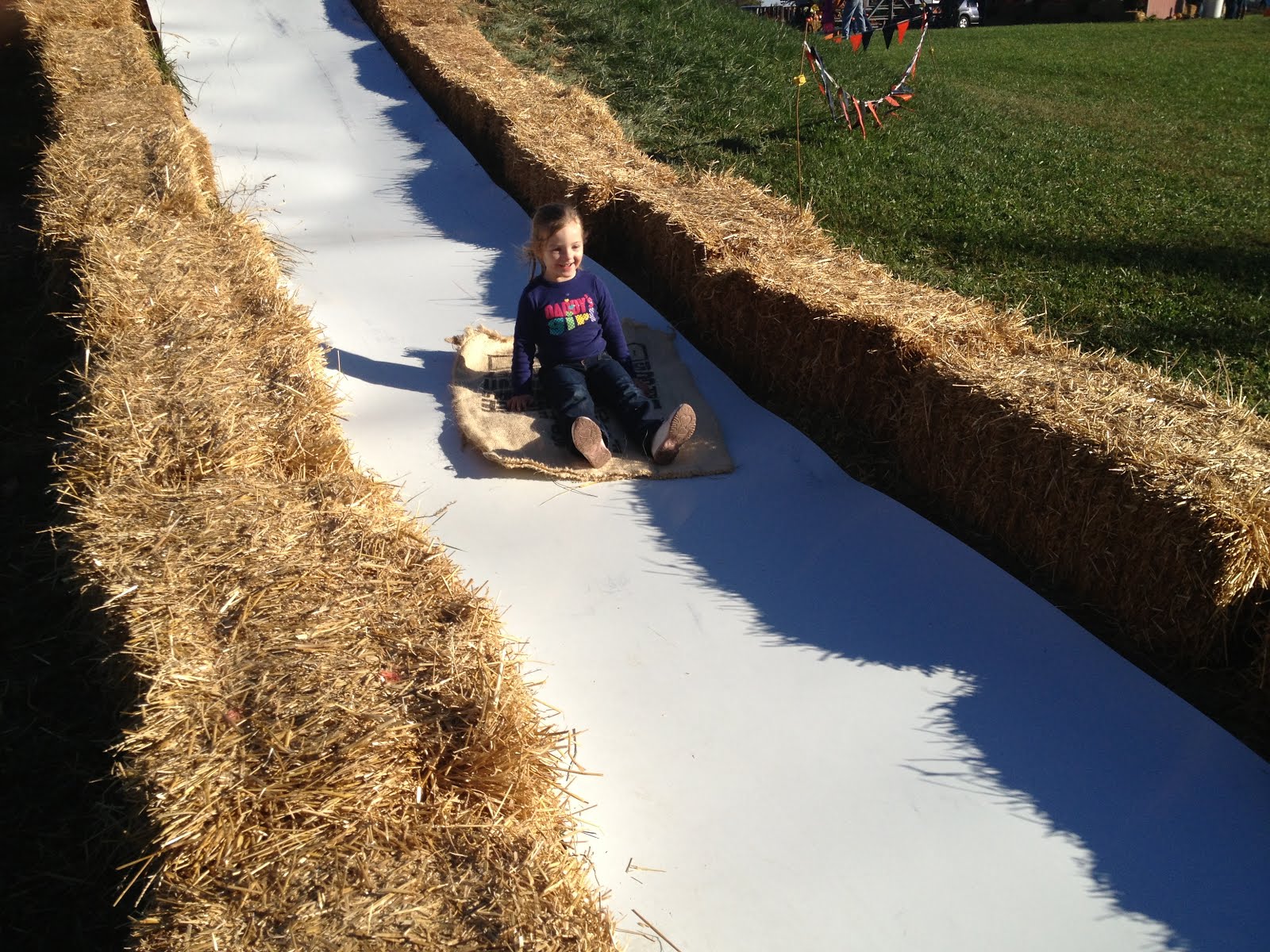 The Whitaker's Window: Rhodes Family Farm, Year Two!