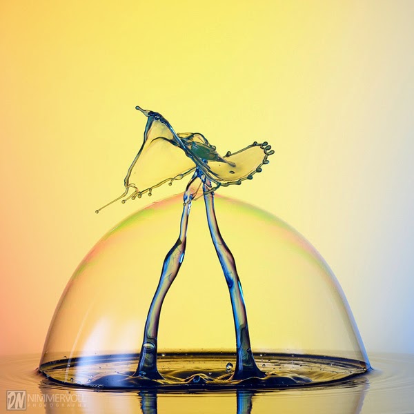 Amazing Water Drops Photography by Daniel Nimmervoll