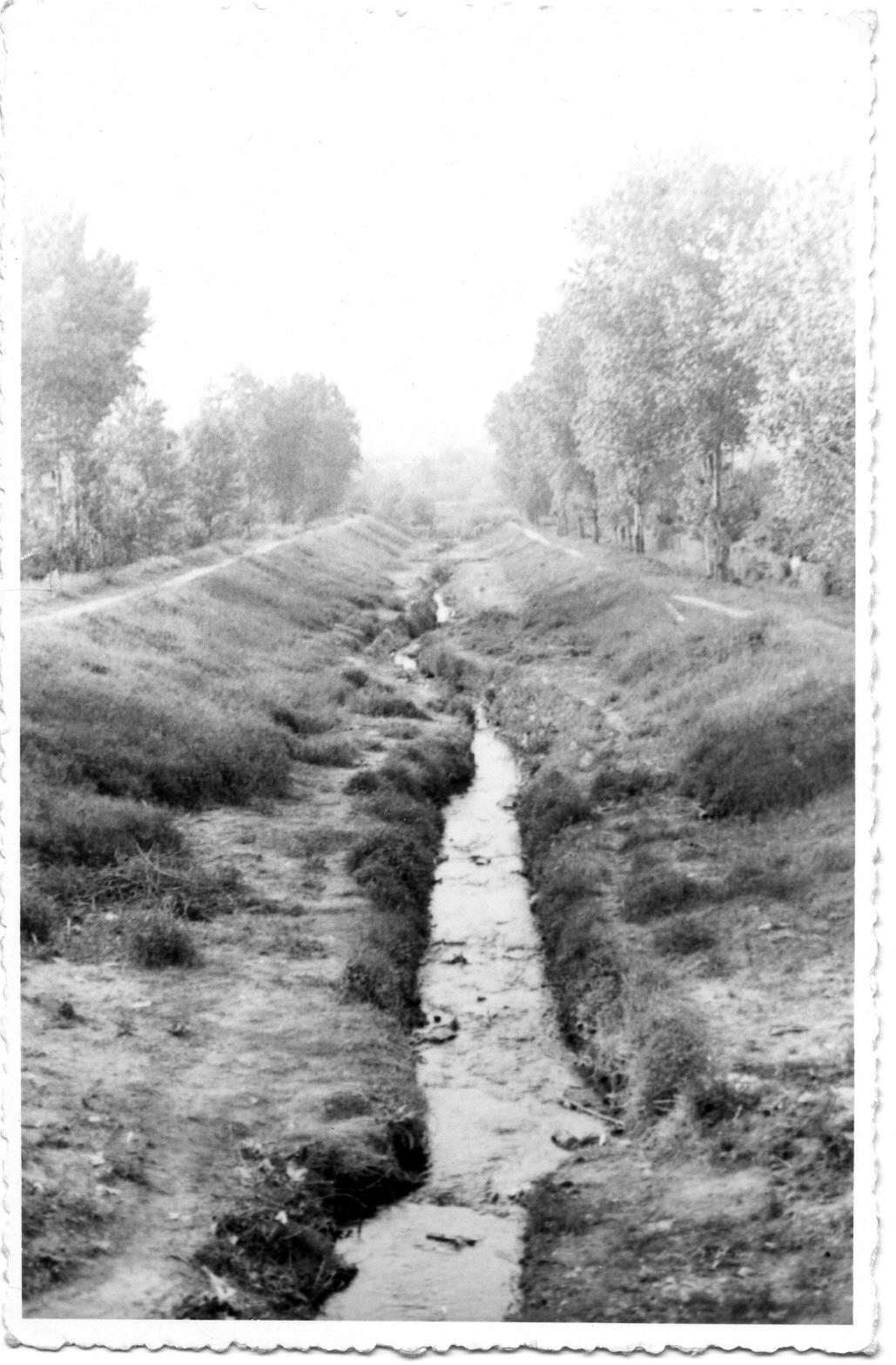 Fizizam: мај 2011