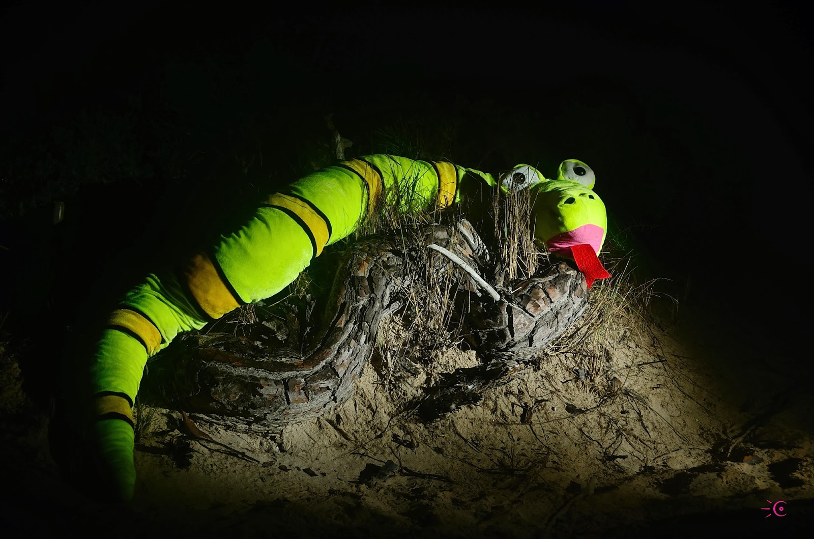 ALICANTE SIEMPRE: PELUCHO SERPIENTE.