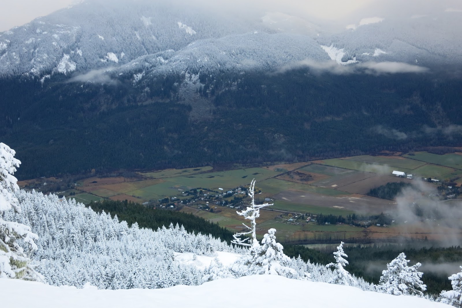 Daryl Treadway's Stories & Videos