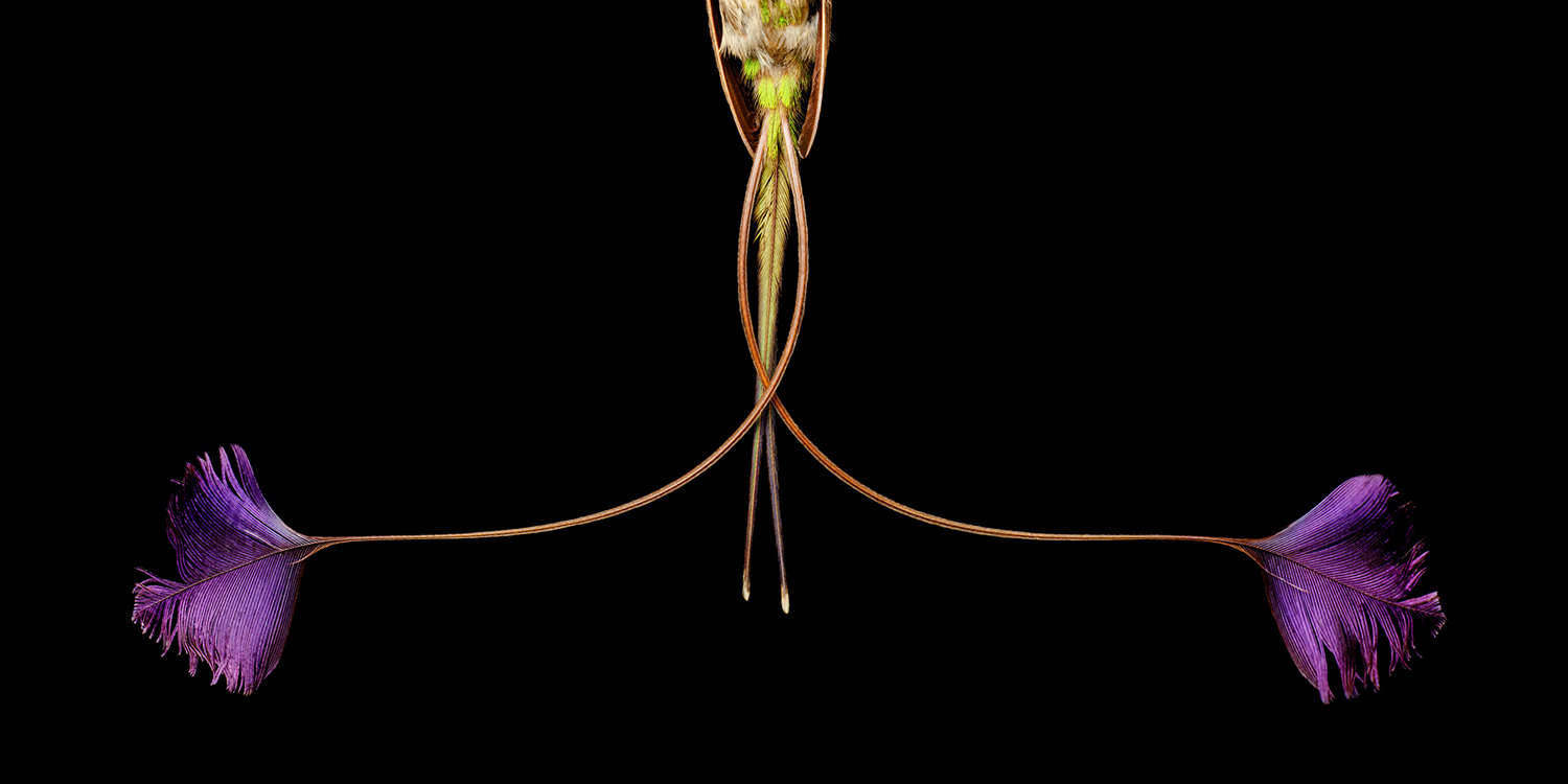 :: Alexandra Proaño 3D - Green Pear Diaries ::: Mark Laita, la belleza ...