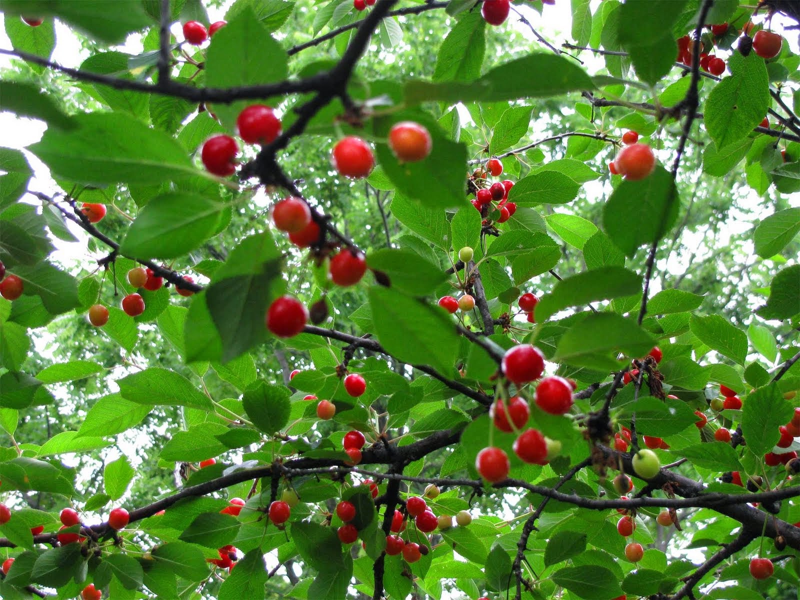 Your SEO optimized title