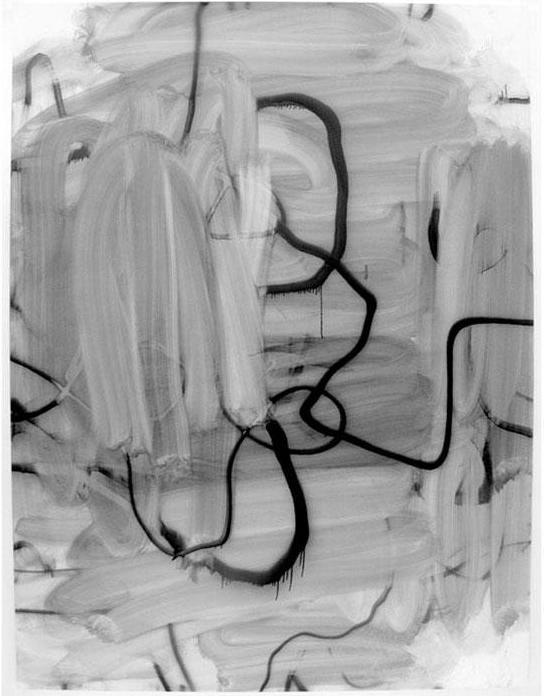 a f a s i a: Christopher Wool