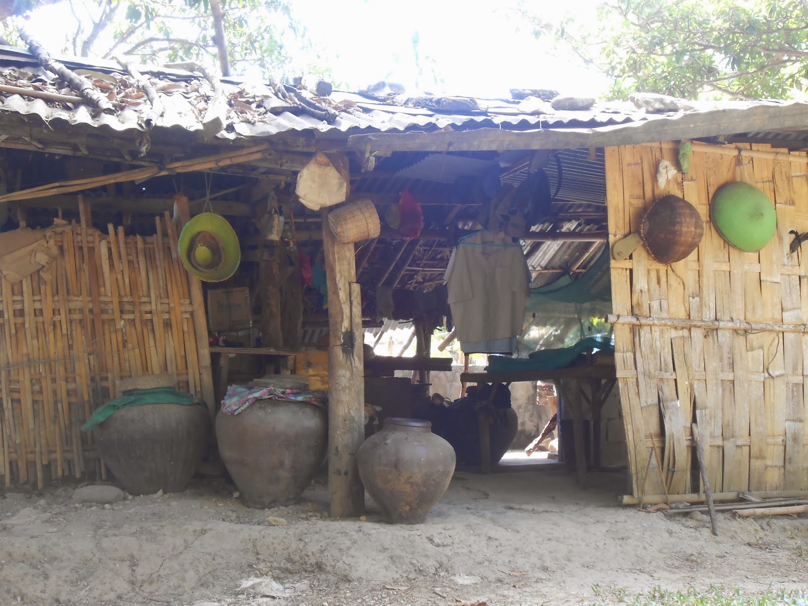 Discover the world with Kanuto: BASI REVOLT (Movement for the Love of ...