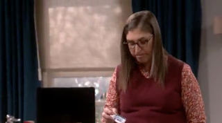 The Big Bang Theory - The Sibling Realignment - Review: "Brotherly Love"