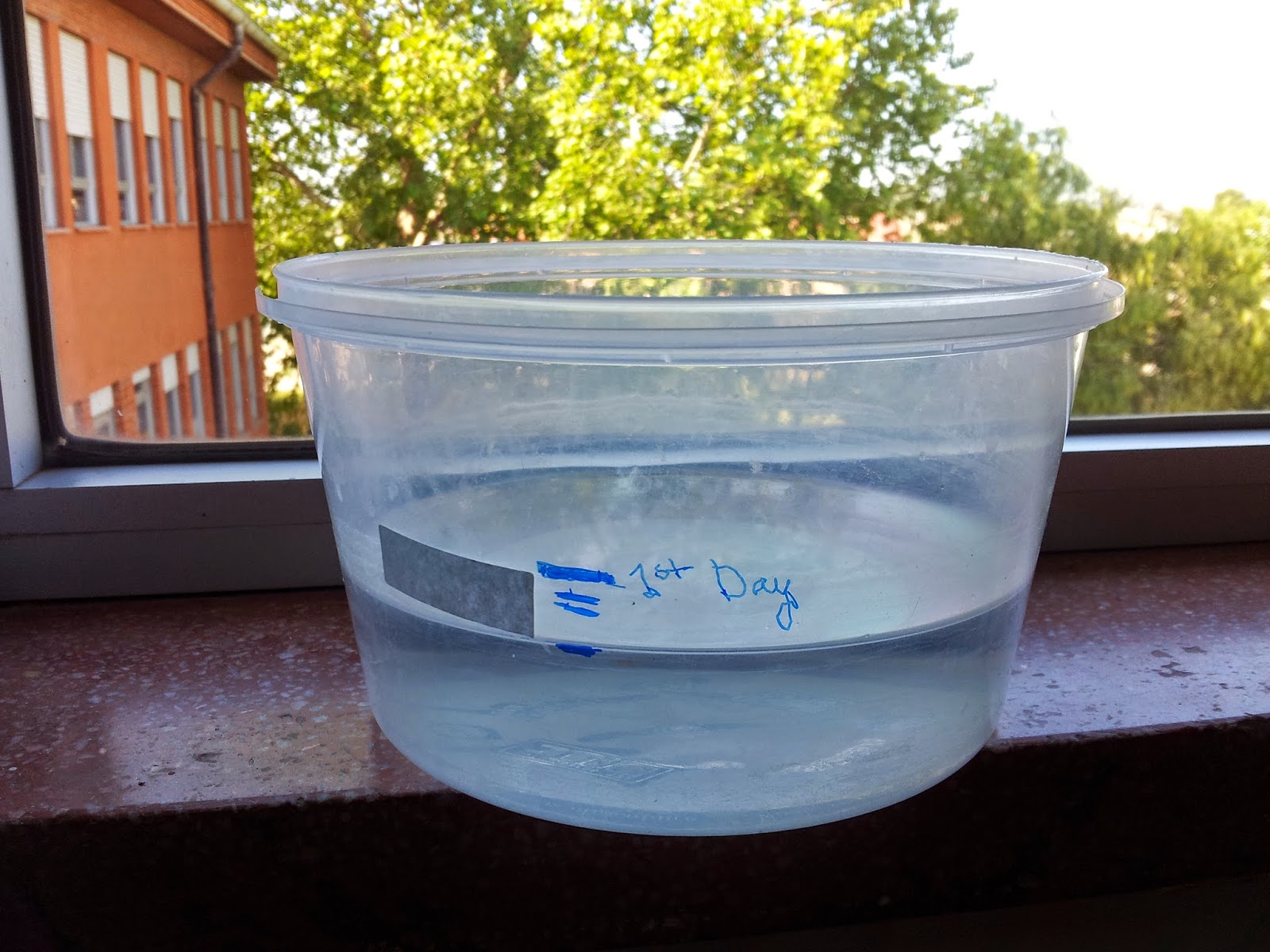 OUR ENGLISH CLASS: Water cycle