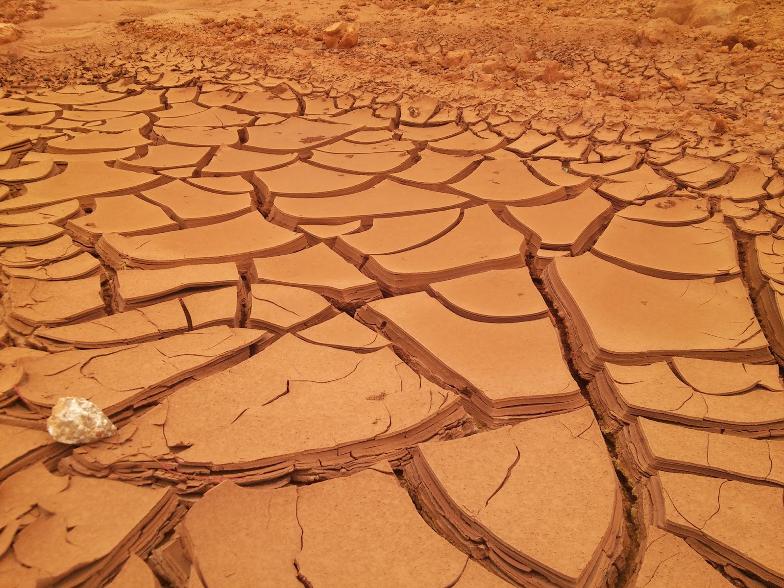 Rukshan Maliq's Blog: The Intricacies of Mud Crack Formation