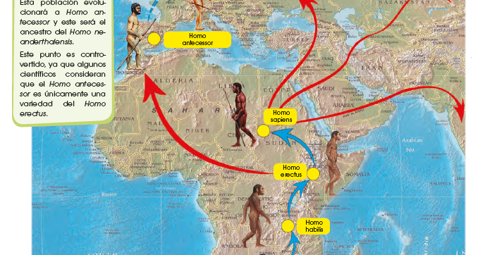 El origen del ser humano actual | Tu Tarea Gratis