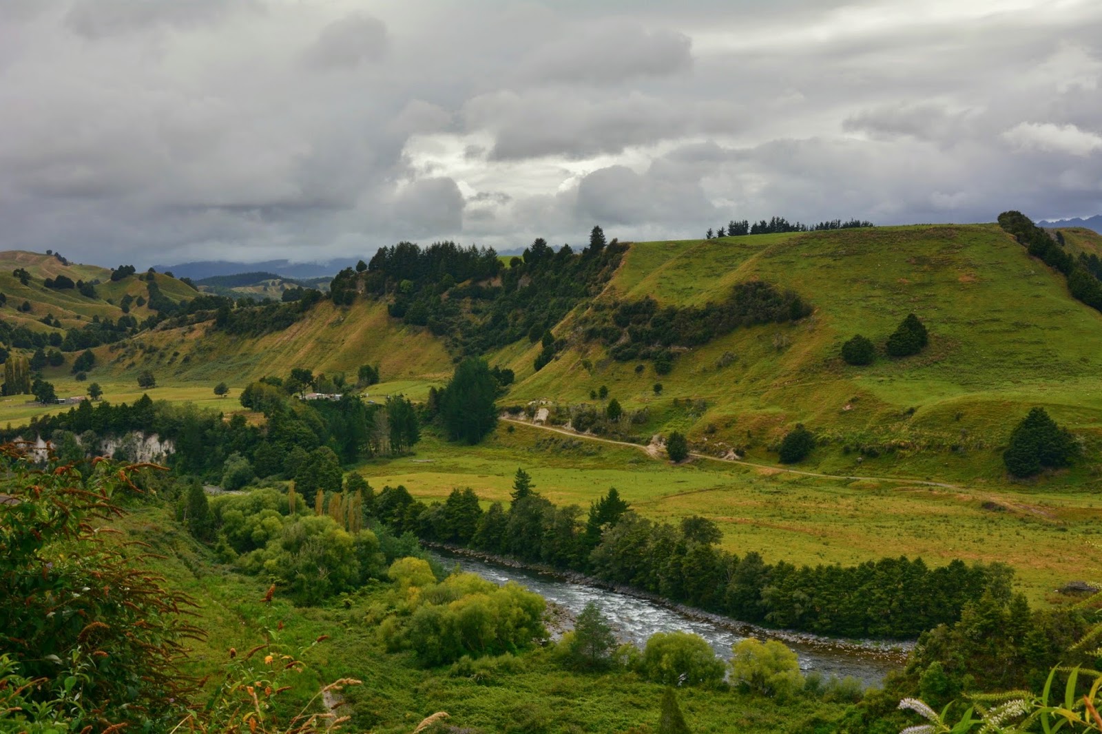 PL Fallin Photography: Piriaka - A Secret Place in Middle Earth