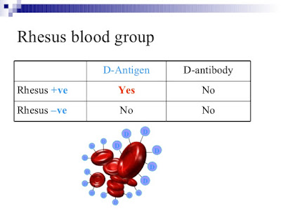 Penting ke tau jenis darah dan rhesus ? - Cerita Ita