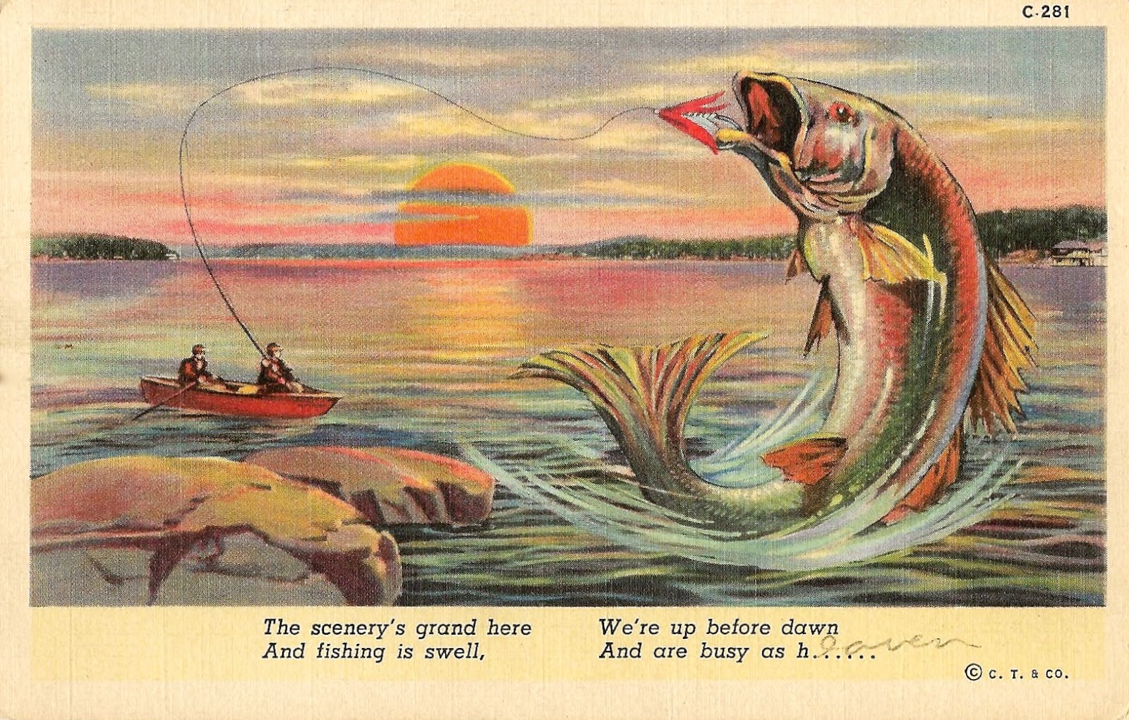 My Favorite Postcards: A Funny Exaggeration Postcard about Fishing