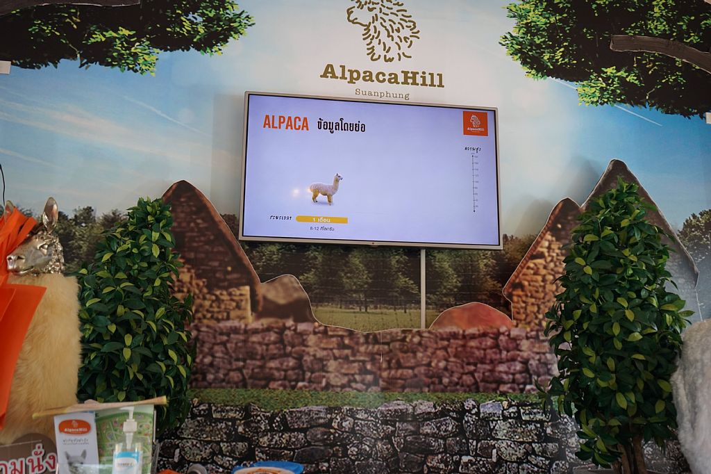 泰国の変なスポット: Alpaca Hill / Ratchaburi