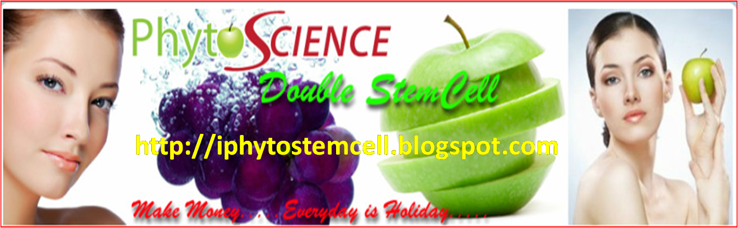 iPHYTOSCIENCE DOUBLE STEMCELL: IPHYTOSCIENCE STRATEGY