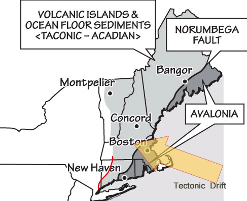 Infographics, Maps, Music and More: Cameron's Line