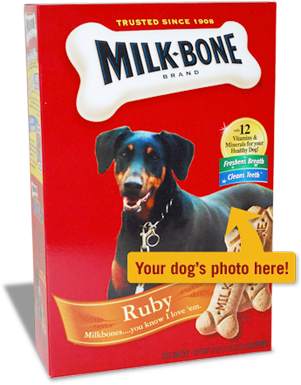 Promo Gift Blog : Promotional Products by Milkbone
