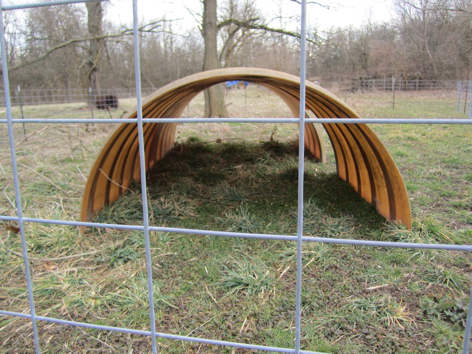 Full of Graze Farm: We've been busy