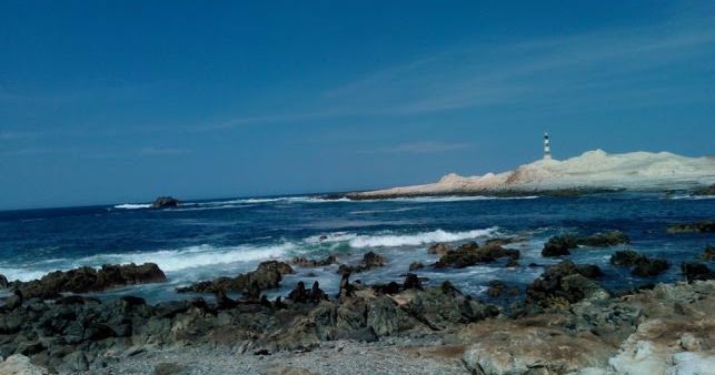 Ilo: Punta de Coles afectado por tecnopor que contamina el ecosistema ...