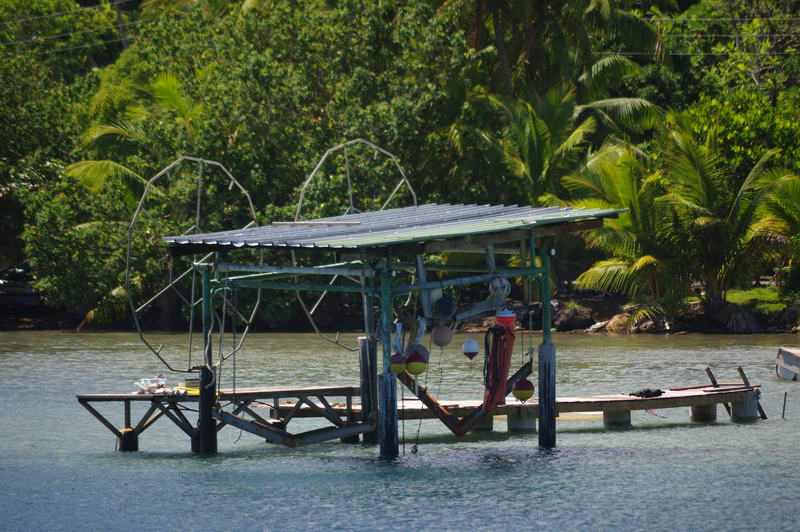 Un voyage en famille: La Baie de Fa'anui