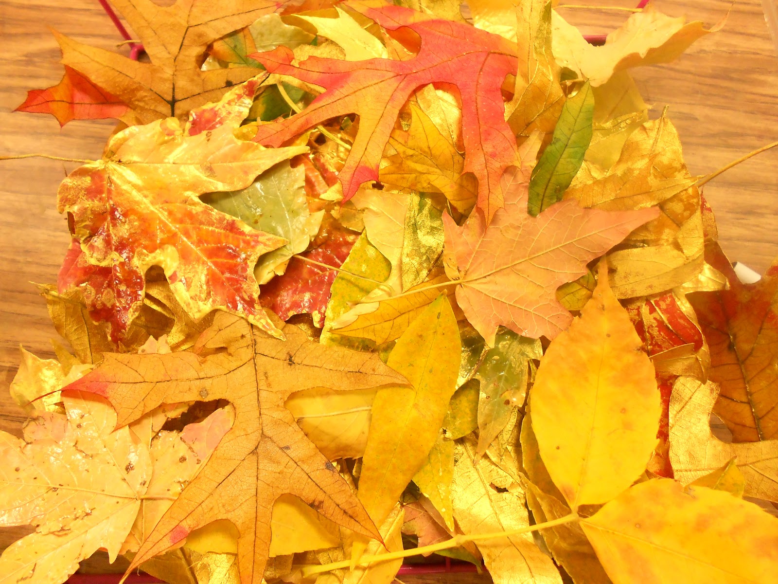 Art. Eat. Tie Dye. Repeat.: 1st Grade Fall Prints "Autumn Elegance"