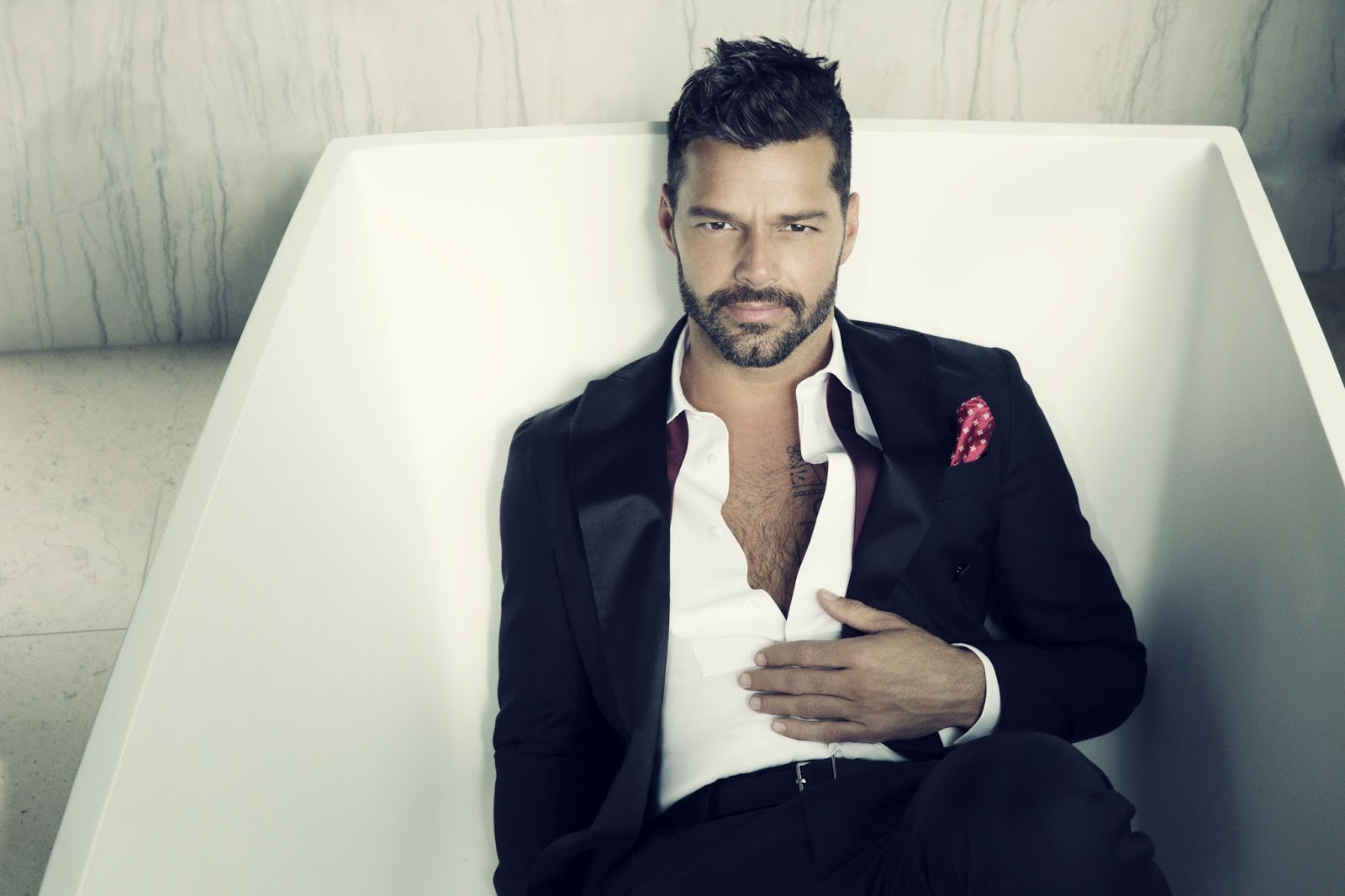 Ricky Martin Vuelve Argentina 2015 #SeccionMusica 90