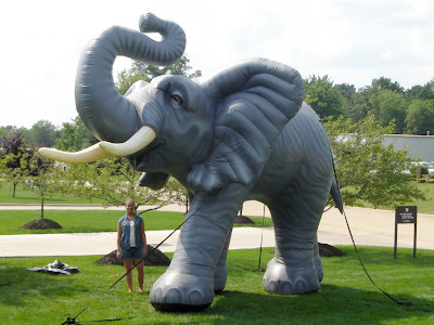 So much inflatable awesomeness.