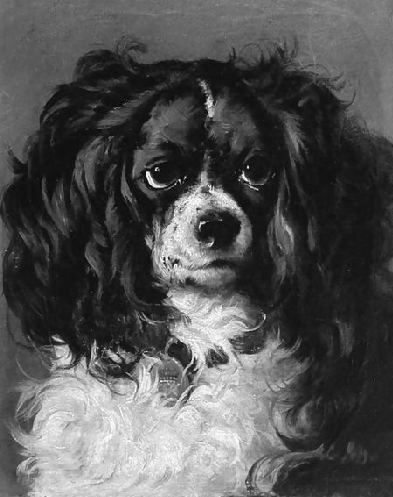 Famous Dogs in History: Dash: Queen Victoria's Closest Childhood Companion