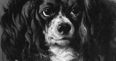 Famous Dogs in History: Dash: Queen Victoria's Closest Childhood Companion