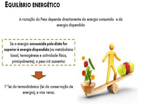 A energia dos alimentos