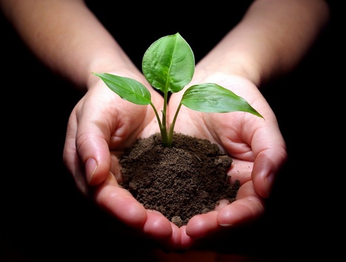 Gazda Praktikum: A talaj fontossága