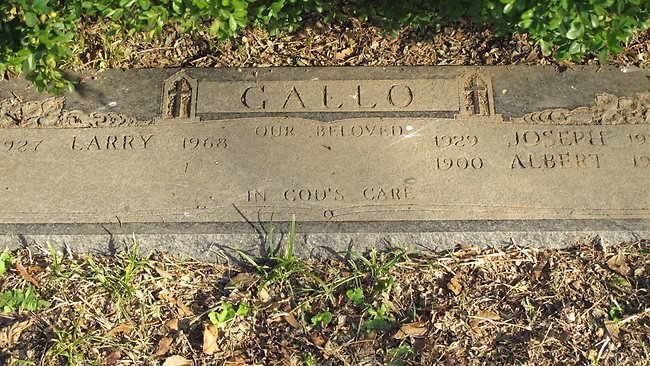 RETRO KIMMER'S BLOG: THE INFAMOUS HIT ON JOEY (CRAZY JOE) GALLO